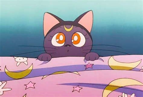 Sailor Moon Cat Everyones Favorite Moon Cats Sailor Moon