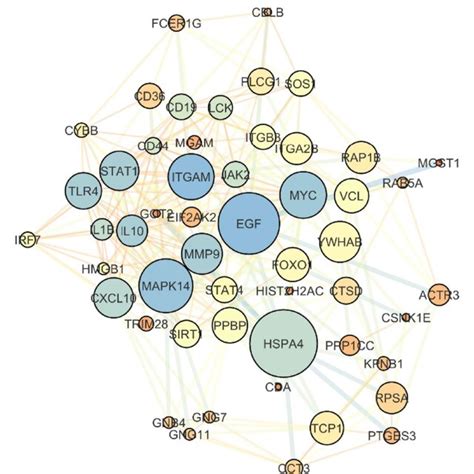 Topology Of The Backbone Network That Consists Of 52 Nodes With A High