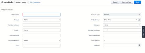 Set Default Values Based On Page Layouts Using Client Script