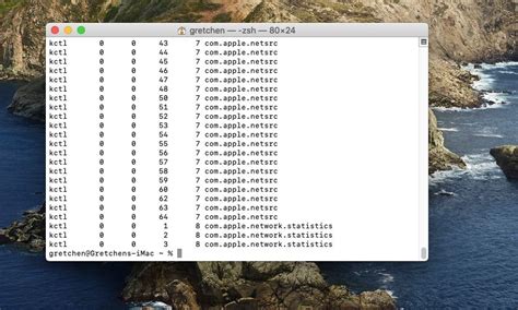 How To Use The Netstat Command On Mac