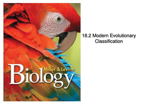 Ppt 18 2 Modern Evolutionary Classification Powerpoint Presentation Free Download Id 2129204