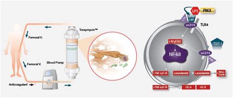 Sepsis And Endotoxin Science Spectral Medical Inc