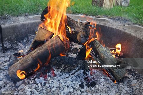 벽난로에서 나무를 태우고 있습니다 모닥불 위에서 소시지 굽기 친구들과 캠핑 여름 방학 노랑에 대한 스톡 사진 및 기타 이미지 Istock