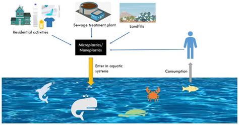 Microplastic Accumulation And Degradation In Environment Via