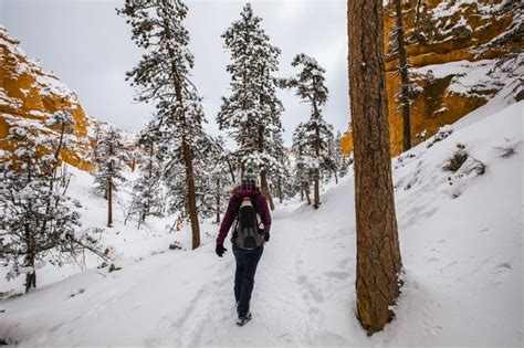 Hiker Girl In Winter In Bryce Canyon National Park United States Of America Stock Image Image