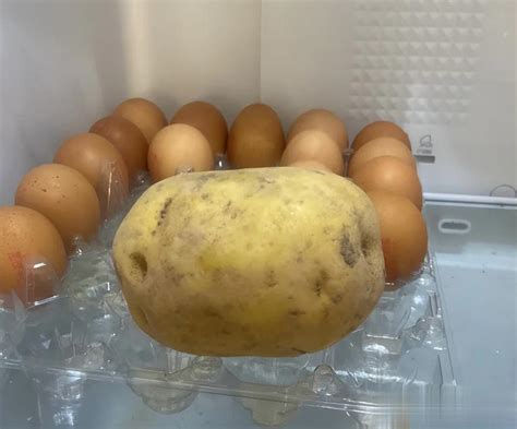 奉劝大家：夏天这6样别放冰箱冷藏，越放越坏全是“细菌”