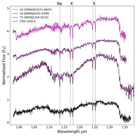 Template Brown Dwarf Spectra From Allers And Liu 2013 Colored