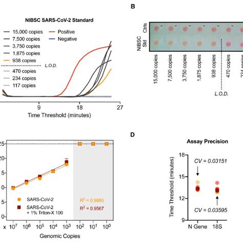 Sars Cov 2 Rt Lamp Is Highly Sensitive Robust And Precise A B Download Scientific Diagram