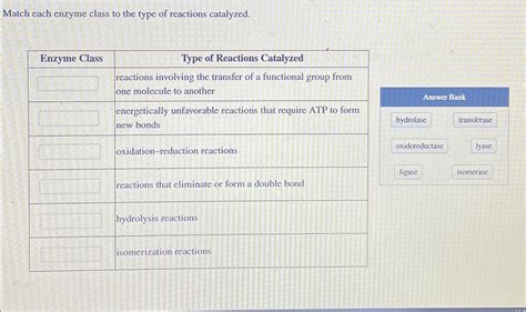 solved match each enzyme class to the type of reactions