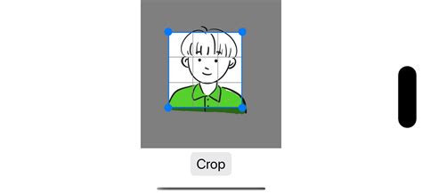 Swiftui Image Crop 재사용 가능한 Image Crop View 만들기 By Annapo Medium