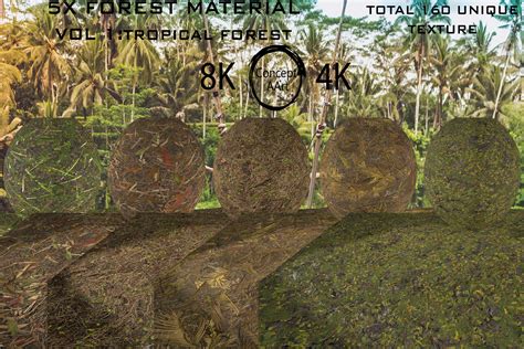 FOREST VOL TROPICAL FOREST D Textures Materials Unity Asset Store