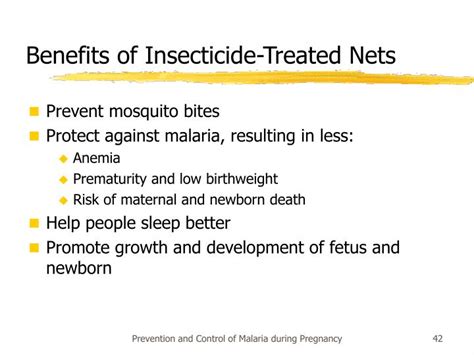 Ppt Prevention And Control Of Malaria During Pregnancy Powerpoint