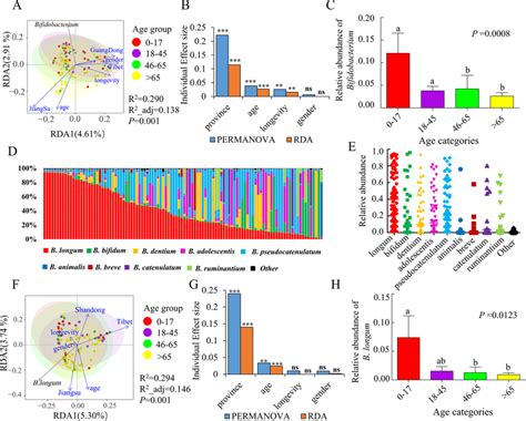 Bifidobacterium Particularly B Longum Was Prevalent And Dominant In Download Scientific