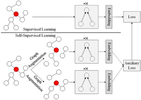 Self Supervised Graph Attention Collaborative Filtering For Recommendation