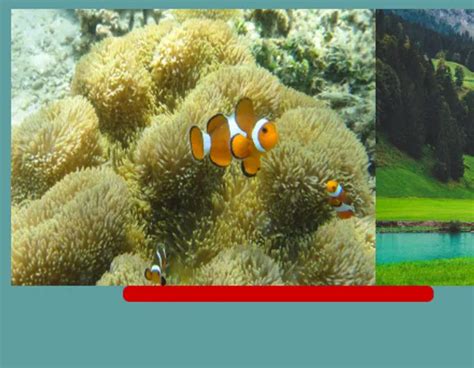 Carrusel De ImÁgenes BÁsico Con Html Y Css