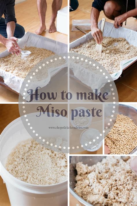 Making Miso Paste Principle 味噌作り Chopstick Chronicles