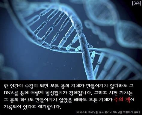호흡이 있는 자마다 여호와를 찬양할지어다 할렐루야 시편 1506 창조주 하나님 예수그리스도 성경 진리 하나님을
