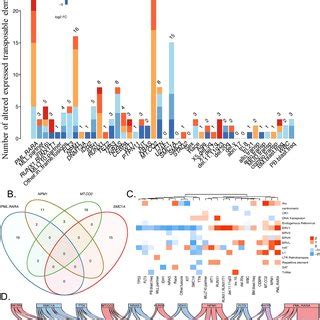 Comprehensive Risk Stratification Of AML A AML Patient Classified Download Scientific