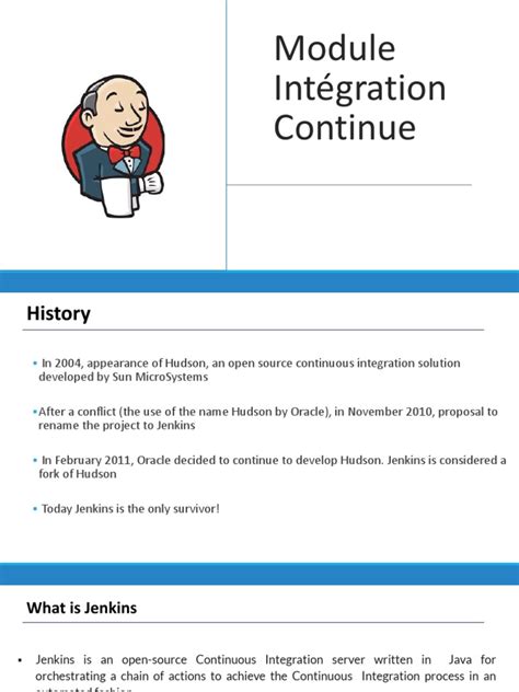 Devops Cours Jenkins Pdf Product Development Application Software
