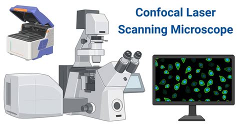 Confocal Laser Scanning Microscope Principle Parts Uses