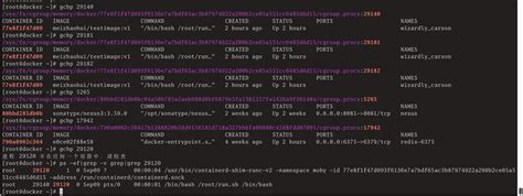 通过进程pid查询对应docker容器信息 编程技术分享