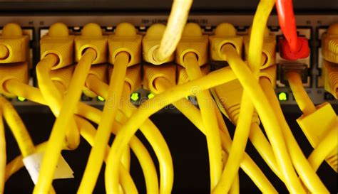Network Switch With Cables Stock Photo Image Of Communication