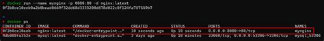 최신 버전의 Nginx Docker Container 실행하기
