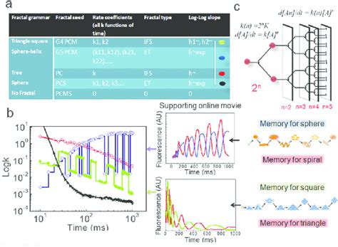 A Table For Fractal Synthesis B Loglog Plot For The Reaction Rate