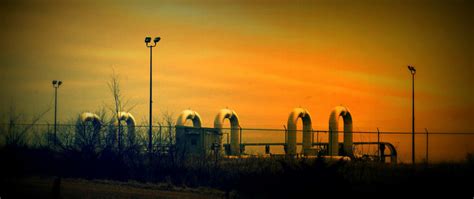 Automatically Publish A Flutter Web App On Github Pages Dev Community