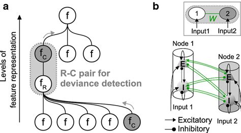 Illustration Of The Role Of Deviance Detection In Hierarchical Feature Download Scientific