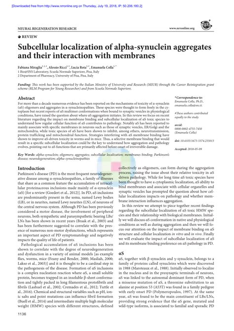 Pdf Subcellular Localization Of Alpha Synuclein Aggregates And Their