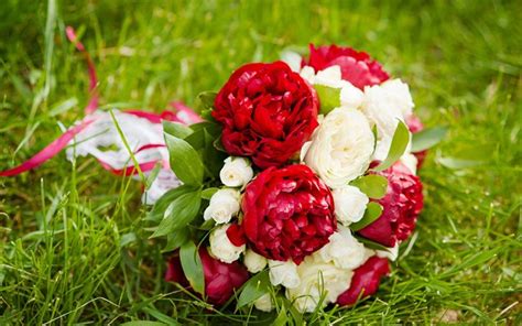 다운로드 빨간색과 흰색 모란의 꽃다발 웨딩 꽃다발 붉은 모란 흰 모란 신부 꽃다발 결혼식 개념 웨딩 카드의 배경 바탕 화면 무료 데스크톱 용 무료 데스크톱 용 그림
