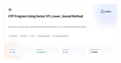 C Vector Stl Lowerbound 메서드 사용법 예제 및 실습 Labex
