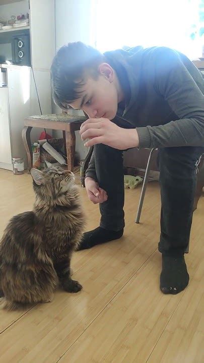 Сакри против Гоши Youtube