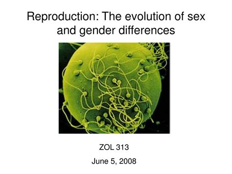 PPT Evolution Of Sex And Gender Differences Reproduction Insights PowerPoint Presentation