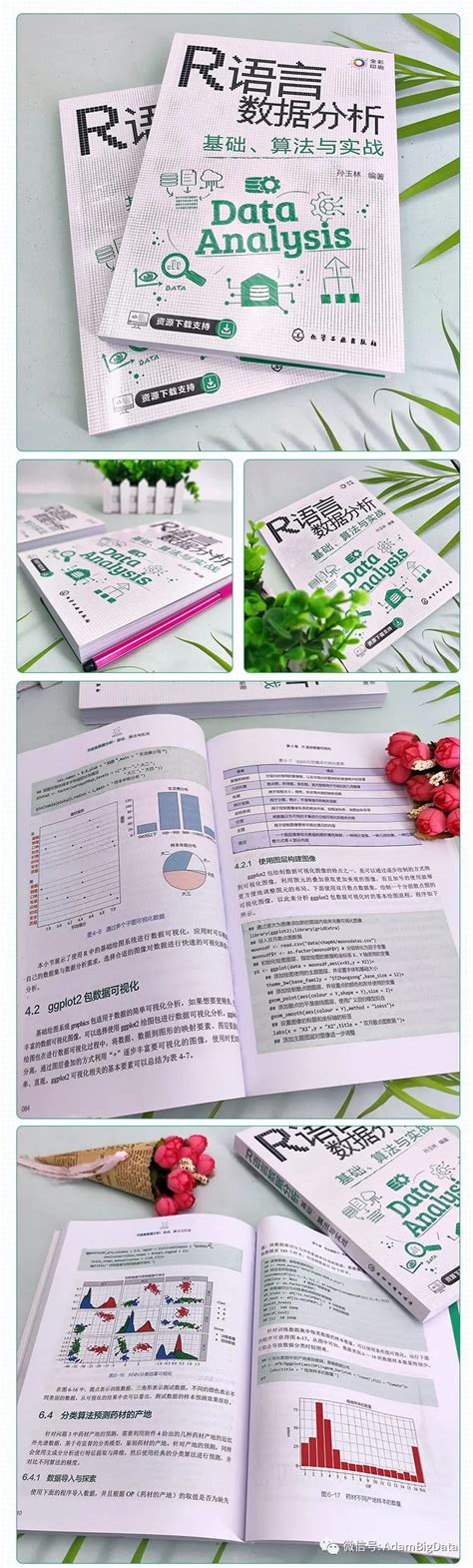 新书《r语言数据分析：基础、算法与实战》r语言数据分析基础、算法与实战 Csdn博客