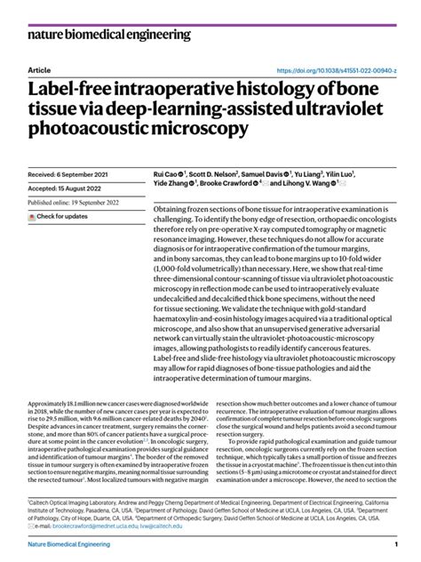 Lf Deep Learning Enabled Bone Tissue Analysis Pdf Microscopy