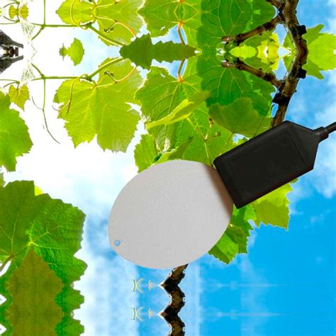 Sensor De Humedad De Hojas Ict Lws High Tech Service