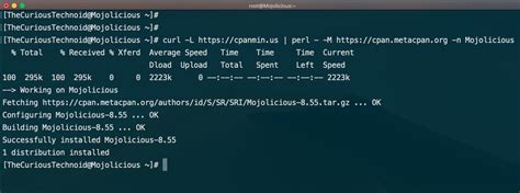 Mojolicious Hello World With Mojolicious Lite The Curious Technoid