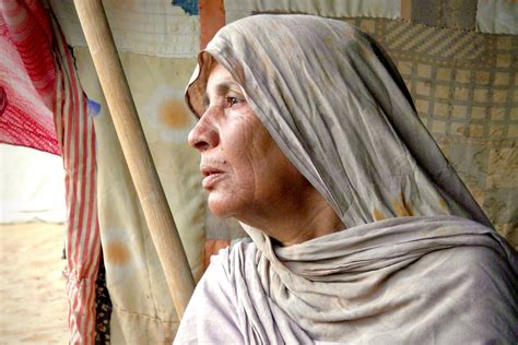 Uterus Didelphys Real Pictures Photos Download The Best Free Uterus Didelphys Real Pictures