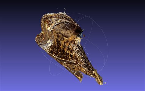 Textured Mesh Not Being Exported Fully Issue Bennyguo Instant