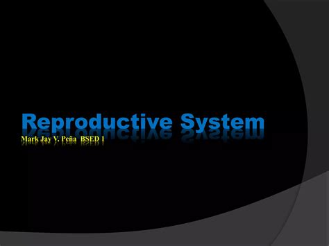Male Rep System Ppt