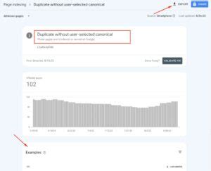 Duplicate Without User Selected Canonical SEOSLY Olga Zarr