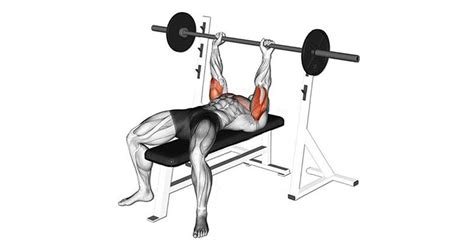 Concurrent Strategies In Strength Training Part2 Complementary Training
