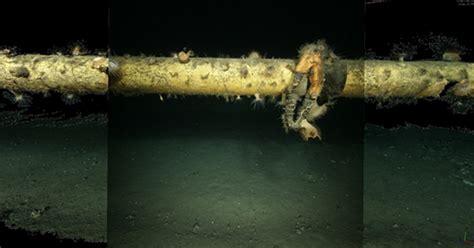 Advanced Subsea Visual Metrology Ocean News And Technology