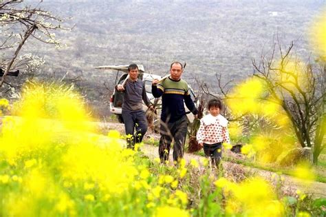人勤春早，广西恭城大岭山屯村民果树管护忙资讯频道东方养生