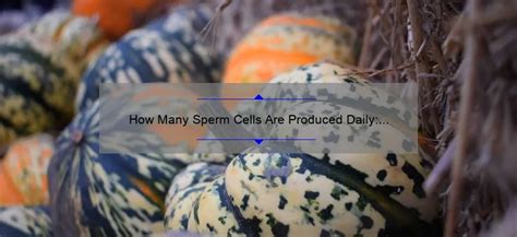 How Many Sperm Cells Are Produced Daily The Astonishing Count Revealed Sperm Blog