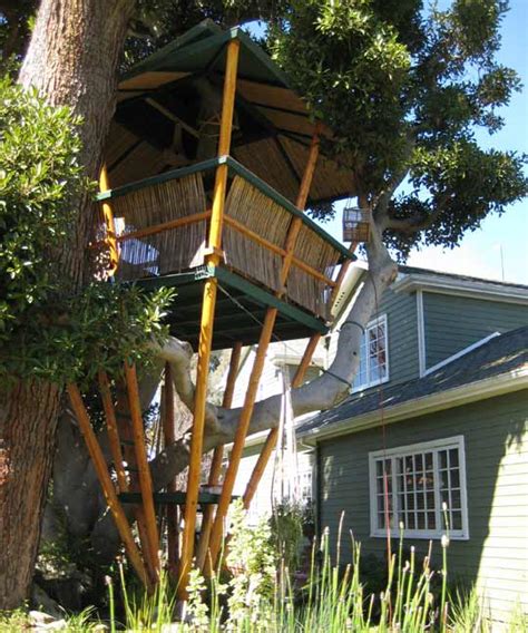 Pictures Of Tree Houses And Play Houses From Around The World Plans And Build Tips Guides