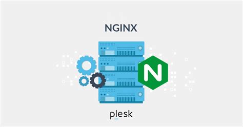 Plesk And Nginx Reverse Proxy Impact On Performance Lrob