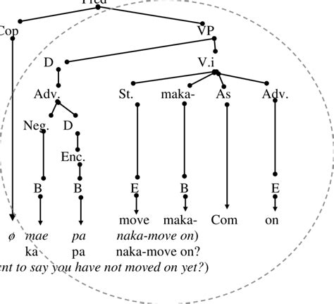 Phrase Structure Tree Diagram Structure Tree Phrase Trees Pp